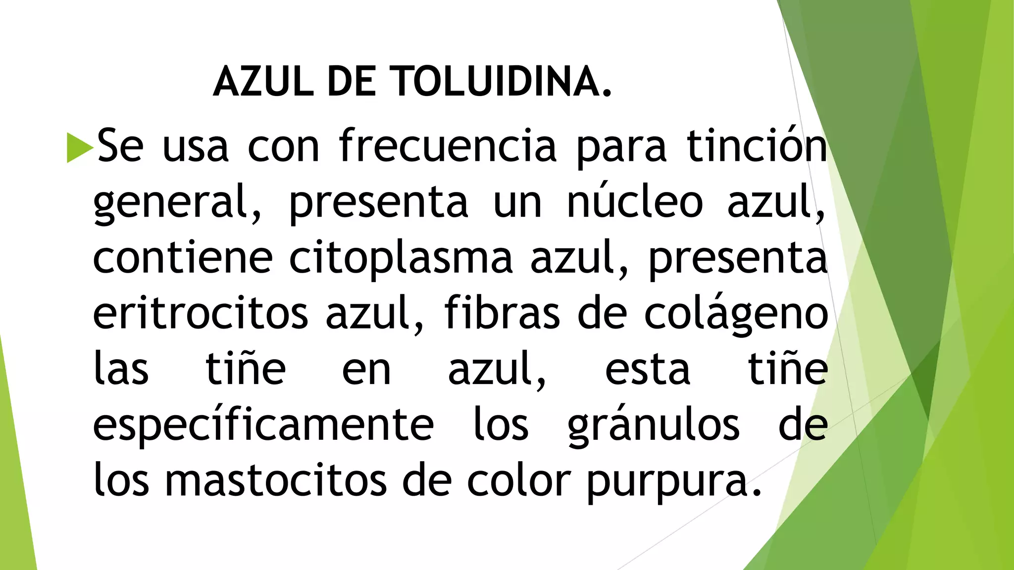 Principales tipos de tinción | PPTX