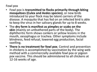 Principal of Poultry breeding.pptx