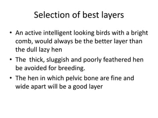 Principal of Poultry breeding.pptx