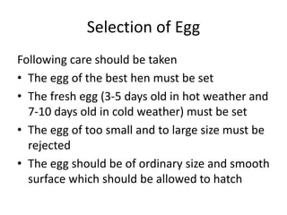 Principal of Poultry breeding.pptx