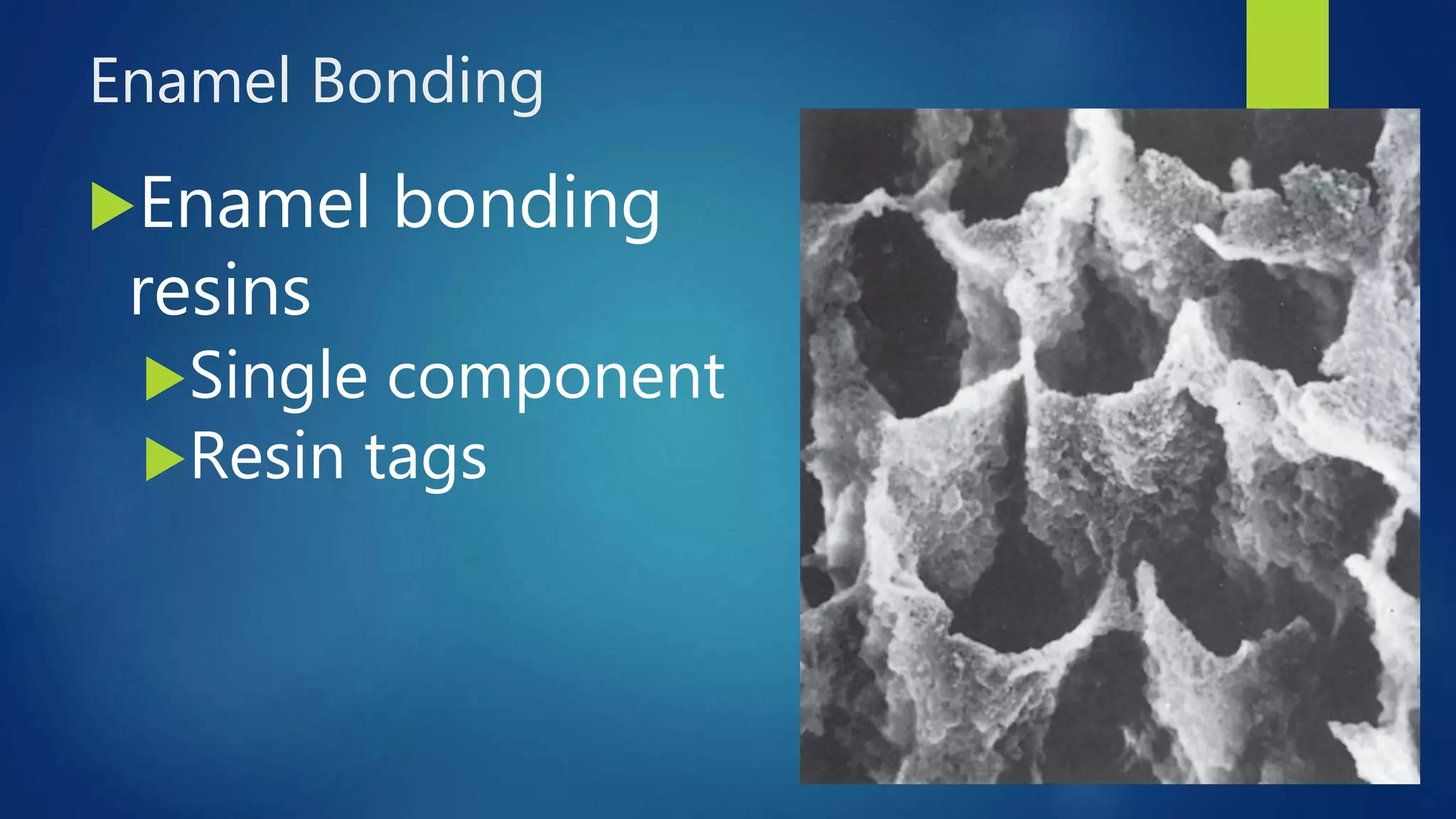 Principals of Bonding | PPTX