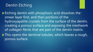 Principals of Bonding | PPT