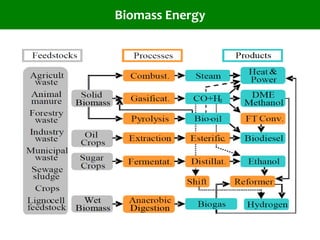 Principal Sources of Energy (Renewables vs Fossil) | PDF