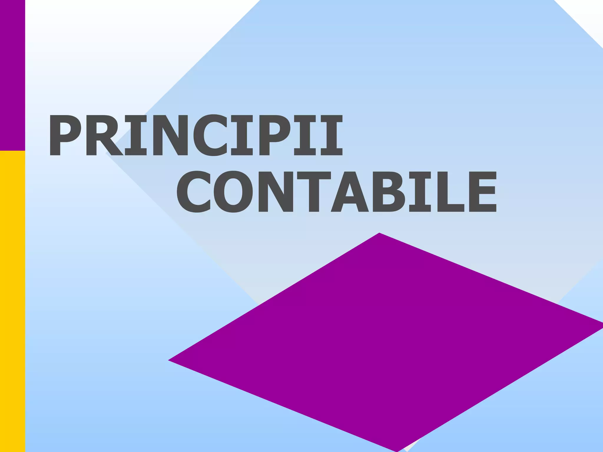 Principii contabile | PDF