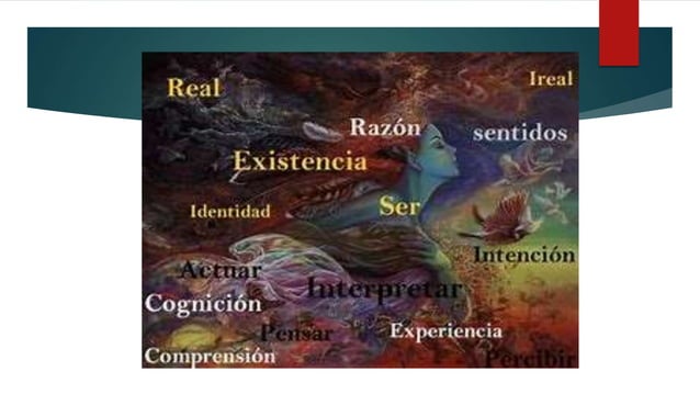 Principio de la ontologia | PPT