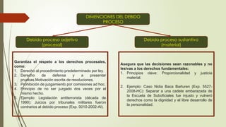 PRINCIPIO DEL DEBIDO PROCEDIMIENTO sirla.pptx