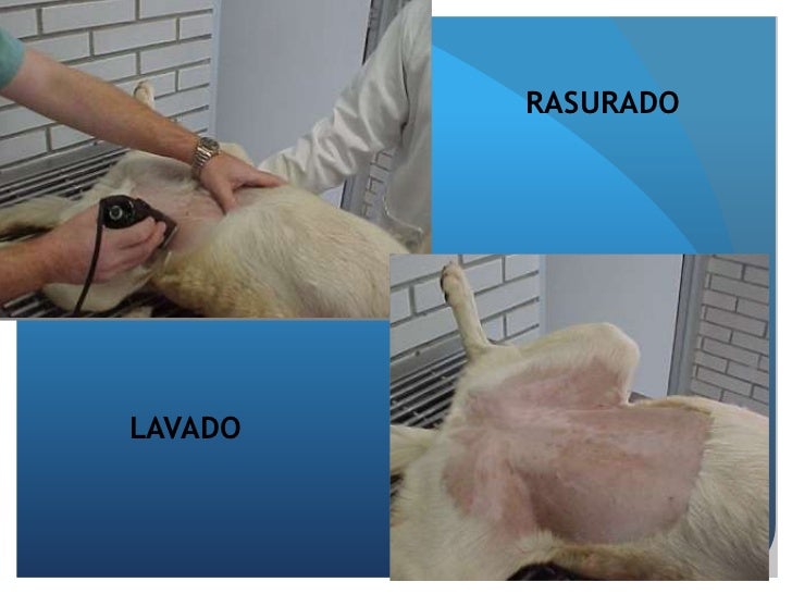 Principios basicos asepsia