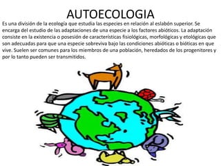 Principios basicos de la ecologia | PPTX