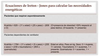 Principios basicos para determinar las necesidades de nutrientes | PPT