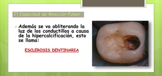 Principios biologicos editado. | PPTX