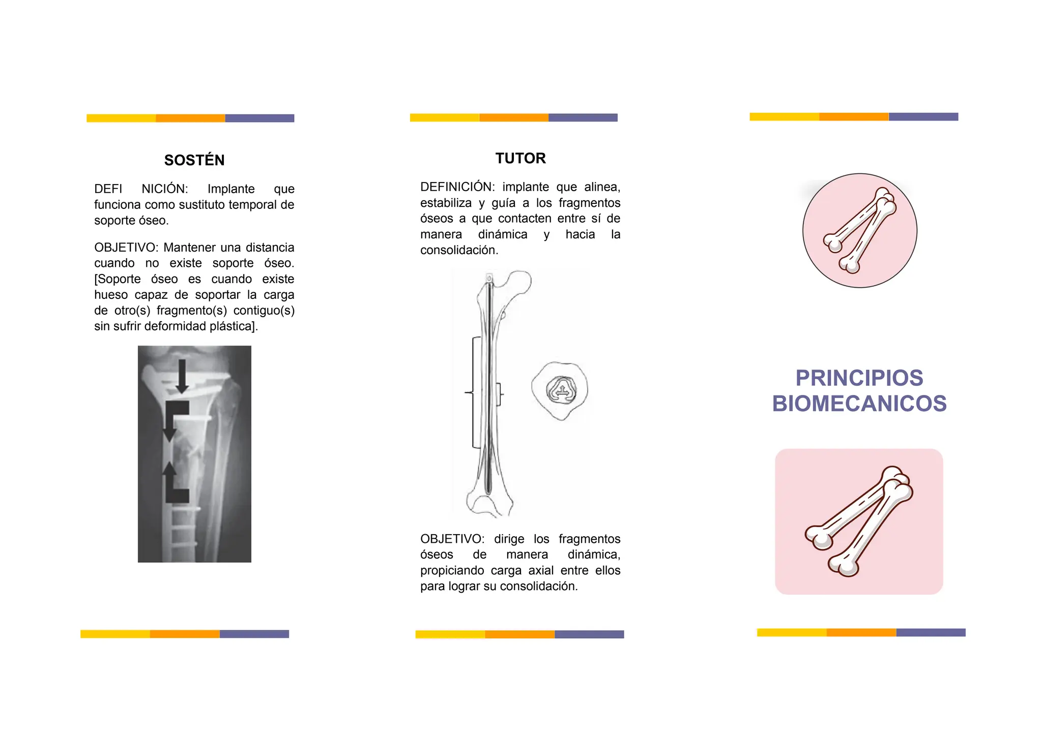 TRIPTICO DE LOS PRINCIPIOS BIOMECANICOS EN TRAUMATOLOGIA | DOCX