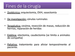 principios básicos de cirugía veterinaria.pptx