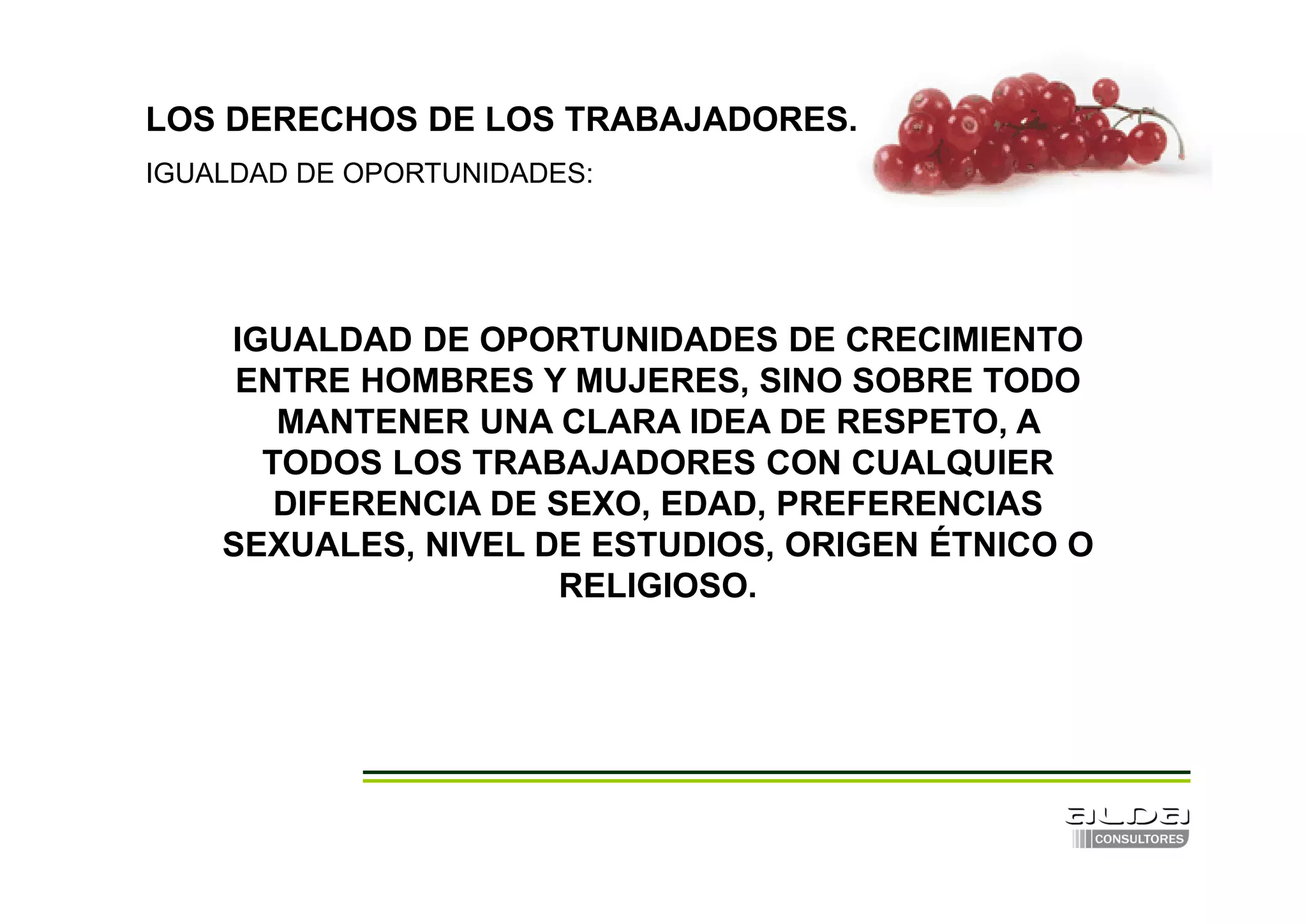 Principios básicos para supervisores de personal | PPT