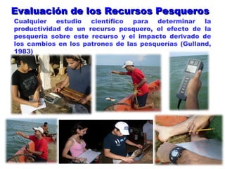 Principios de evaluación y manejo de pesquerías | PPT