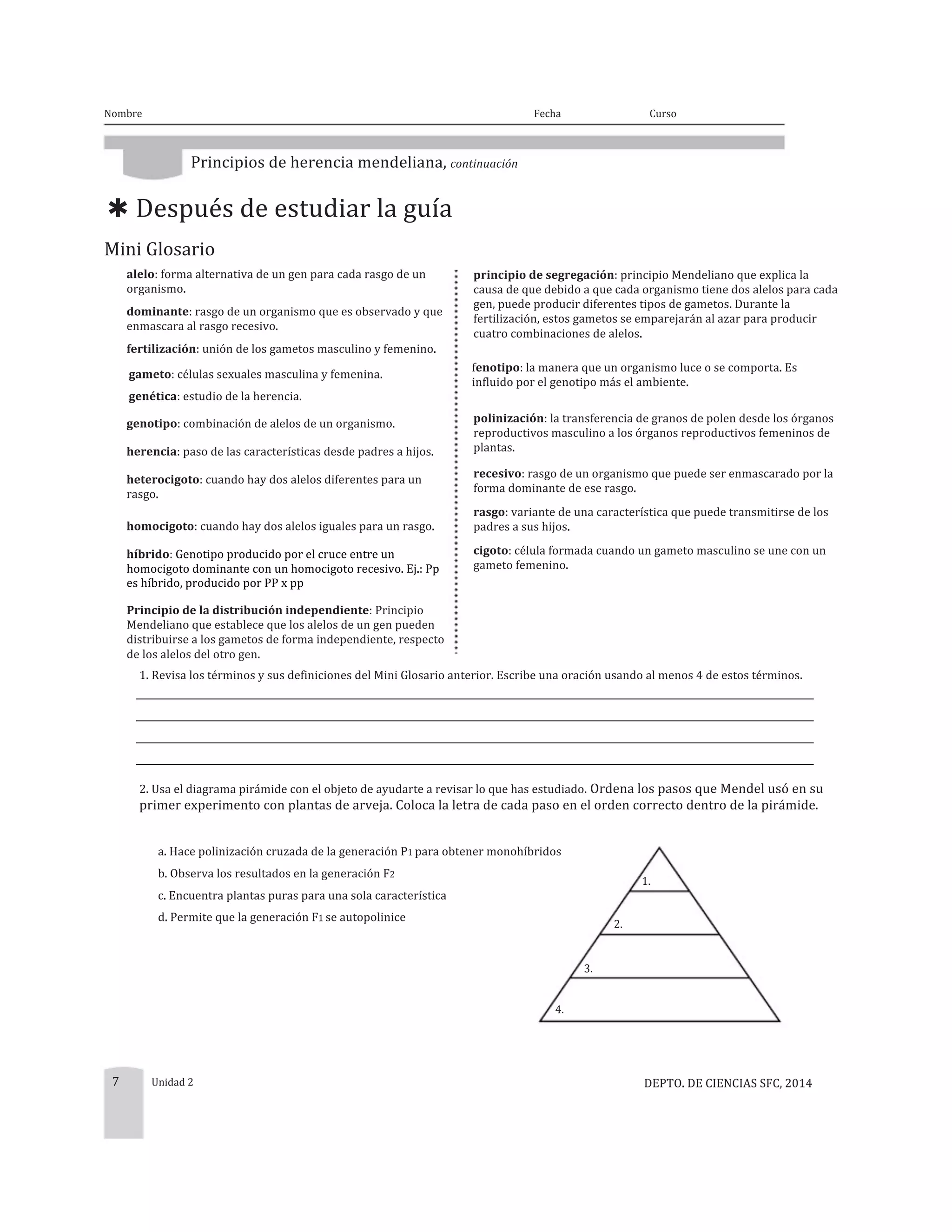 Principios de herencia mendeliana | PDF