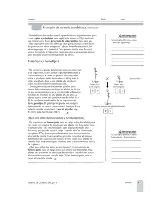 Principios de herencia mendeliana | PDF
