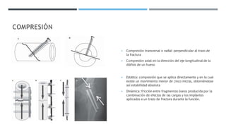 principios de la biomecanicaAAAAAAAAAAAA.pptx