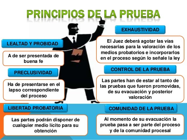 PRINCIPIOS DE LA PRUEBA