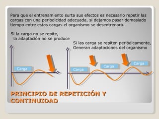 Principios del entrenamiento | PPT