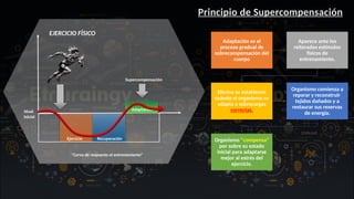 Principios y generalidades del entrenamiento deportivo.pptx