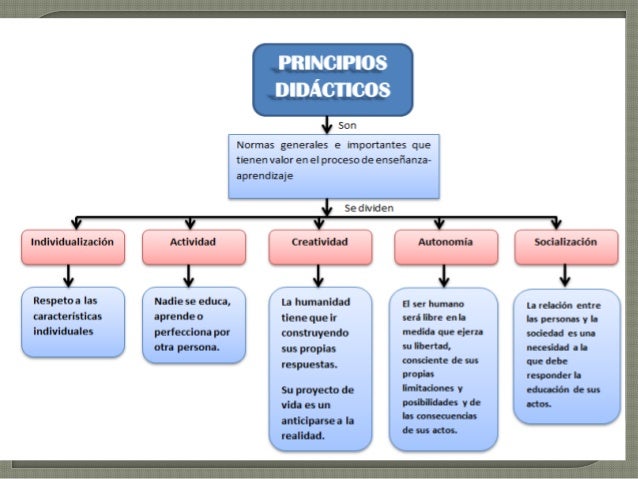 Los Didacticos Mapa Conceptual - vrogue.co