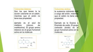 Principios fisicoquímicos de los colorantes utilizados en microbiología ...