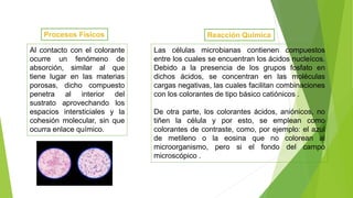Principios fisicoquímicos de los colorantes utilizados en microbiología ...
