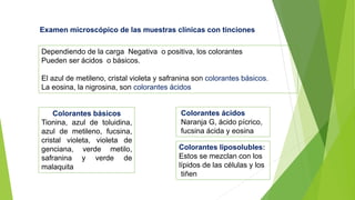 Principios fisicoquímicos de los colorantes utilizados en microbiología ...