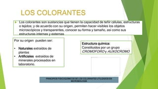 Principios fisicoquímicos de los colorantes utilizados en microbiología ...