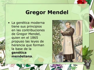 Principios Genetica | PPT