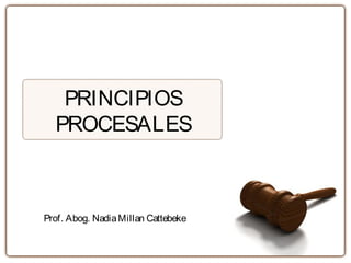 Principios procesales en el proceso civil paraguayo | PPT