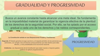 Principios seguridad social | PPTX