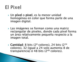 Principios teoricos de la imagen | PPTX