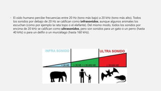 Principios USG.pptx