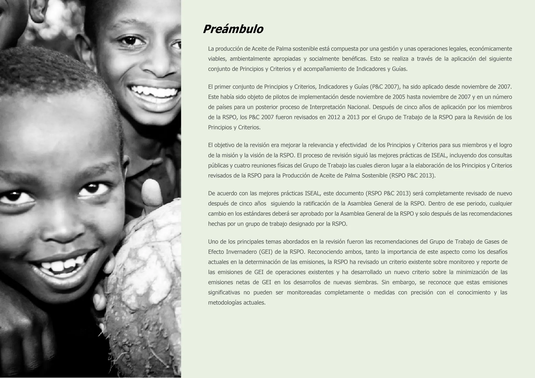 PRINCIPIOS Y CRITERIOS DE LA RSPO 2015-2024 | PDF
