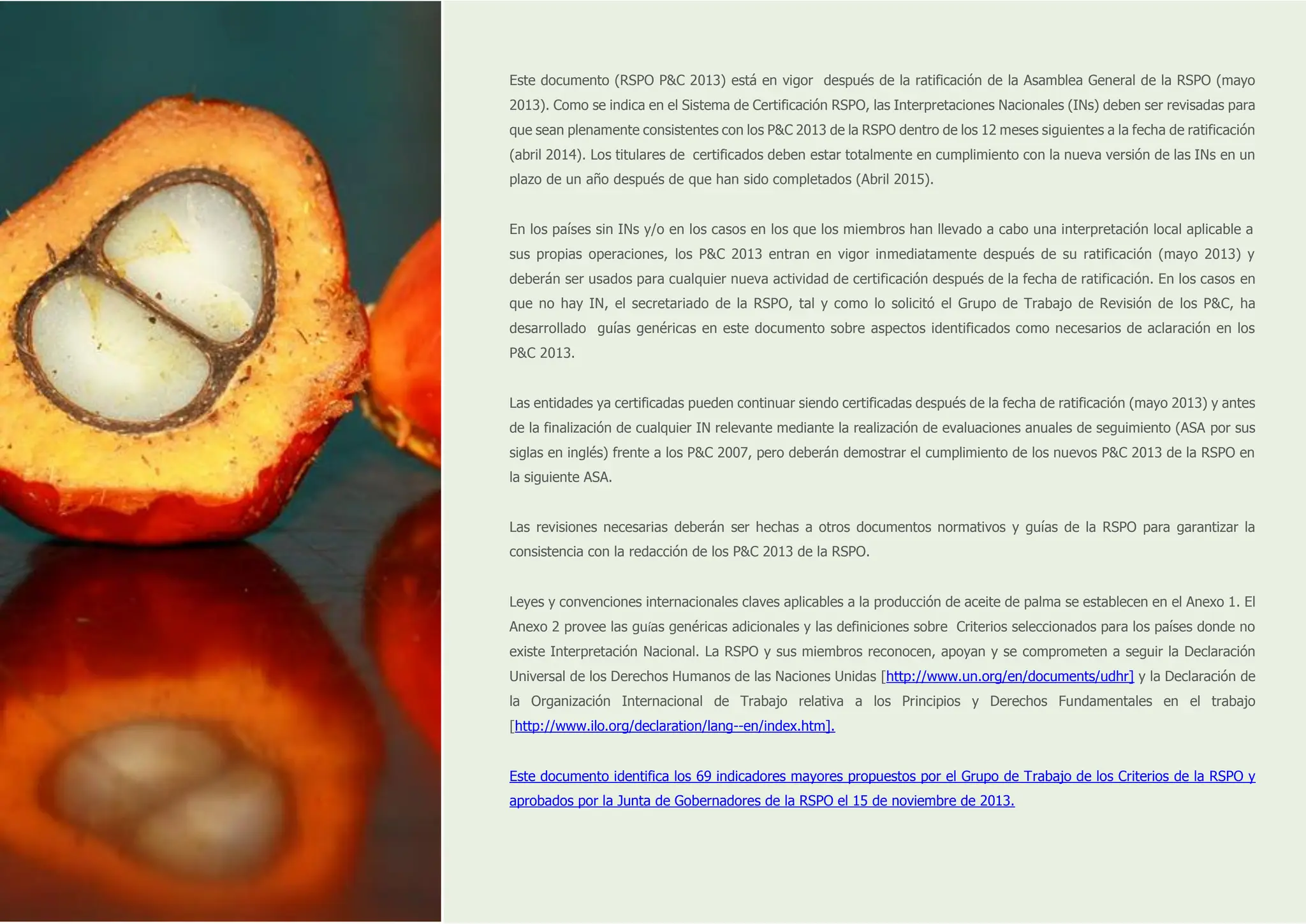 PRINCIPIOS Y CRITERIOS DE LA RSPO 2015-2024 | PDF
