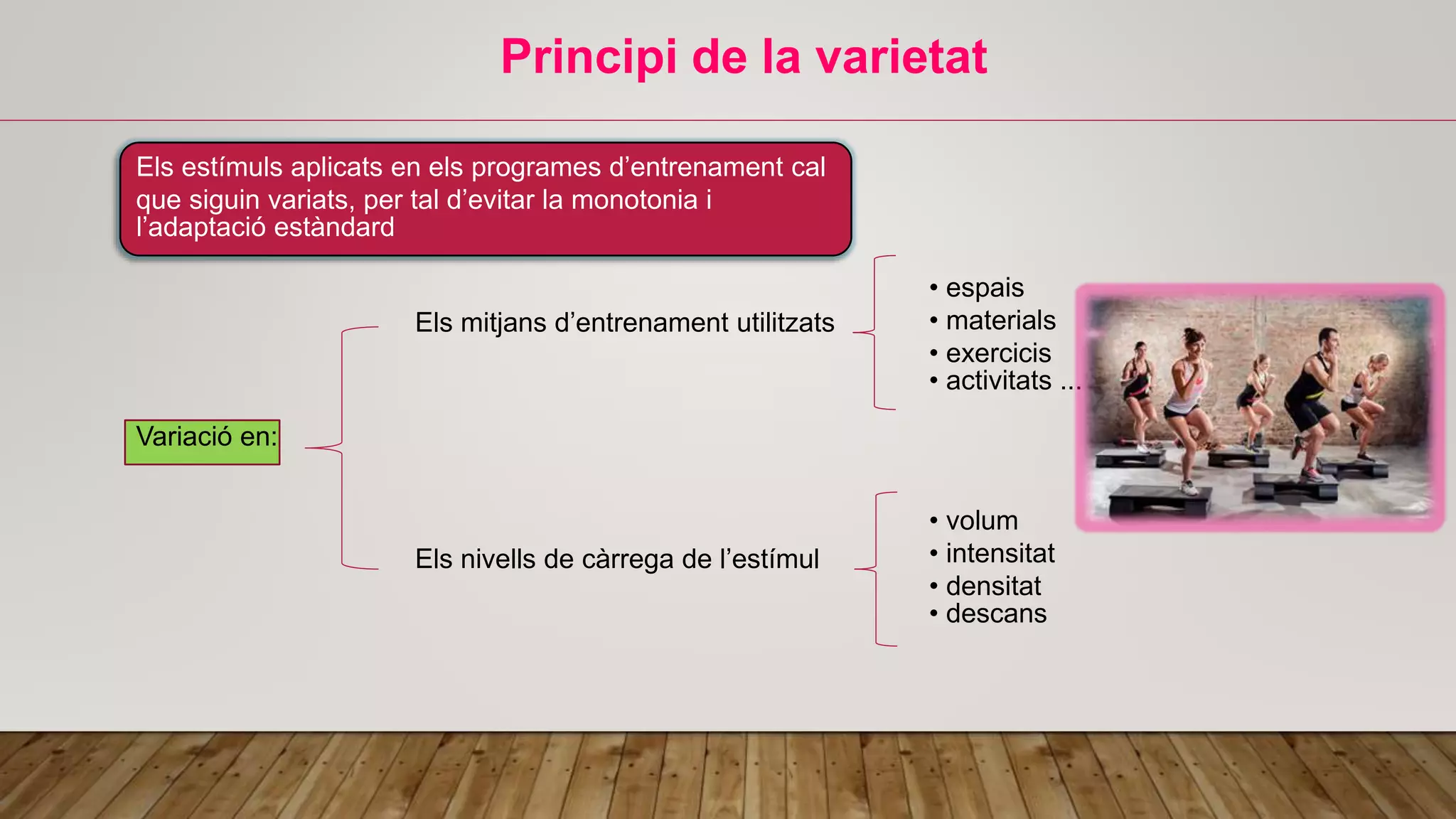 Principis de l'entrenament | PPTX