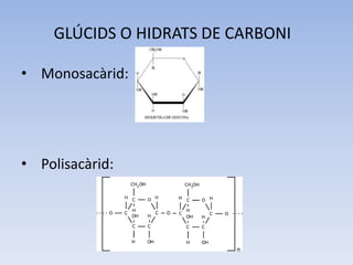 Principis immediats | PPTX