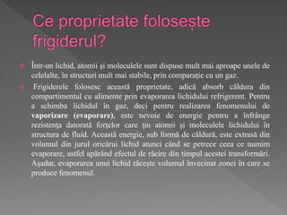 Principiul frigiderului | PPTX