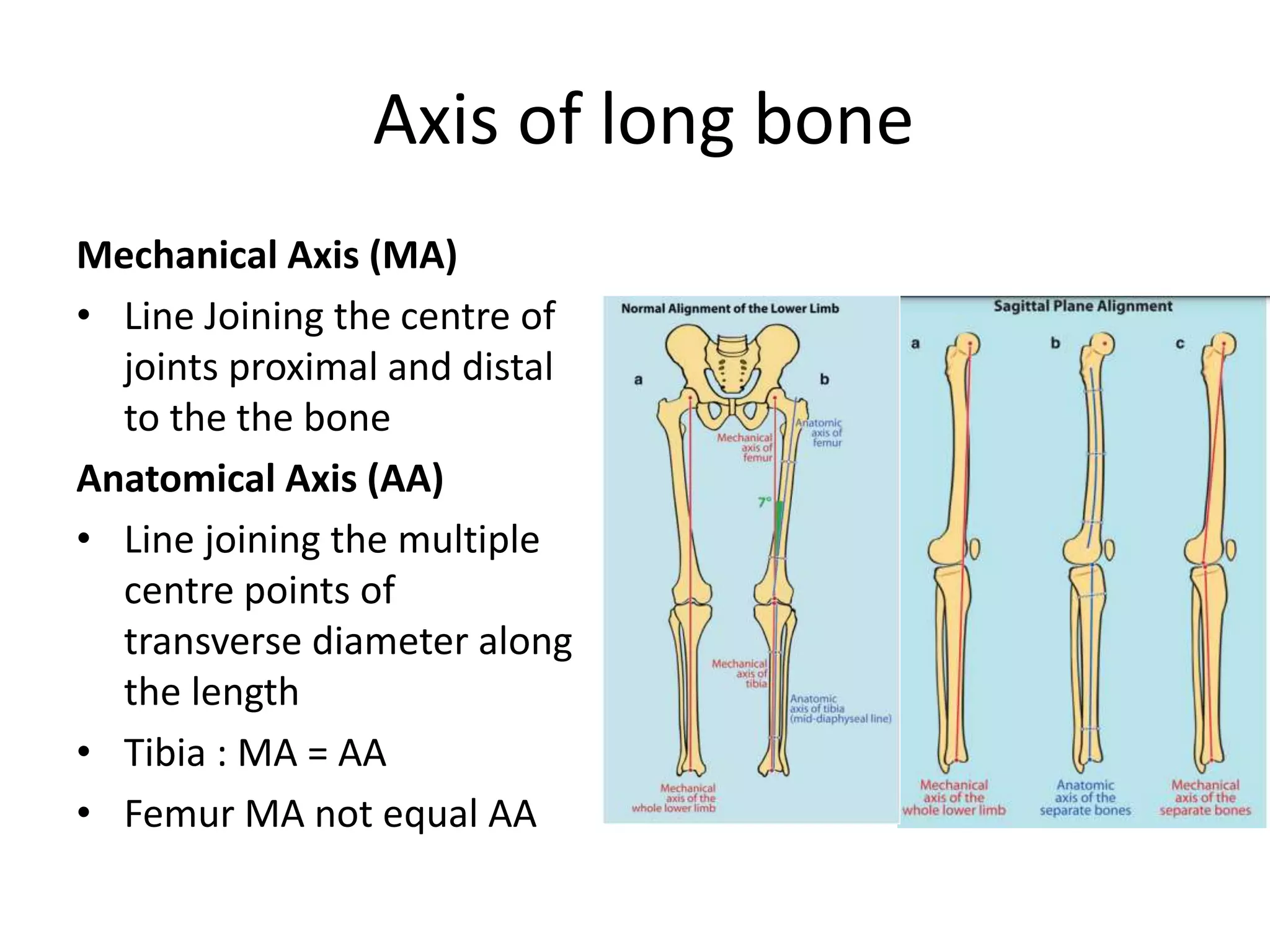 Principle of Deformity Correction in lower Limb | PPTX
