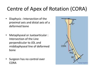 Principle of Deformity Correction in lower Limb | PPTX