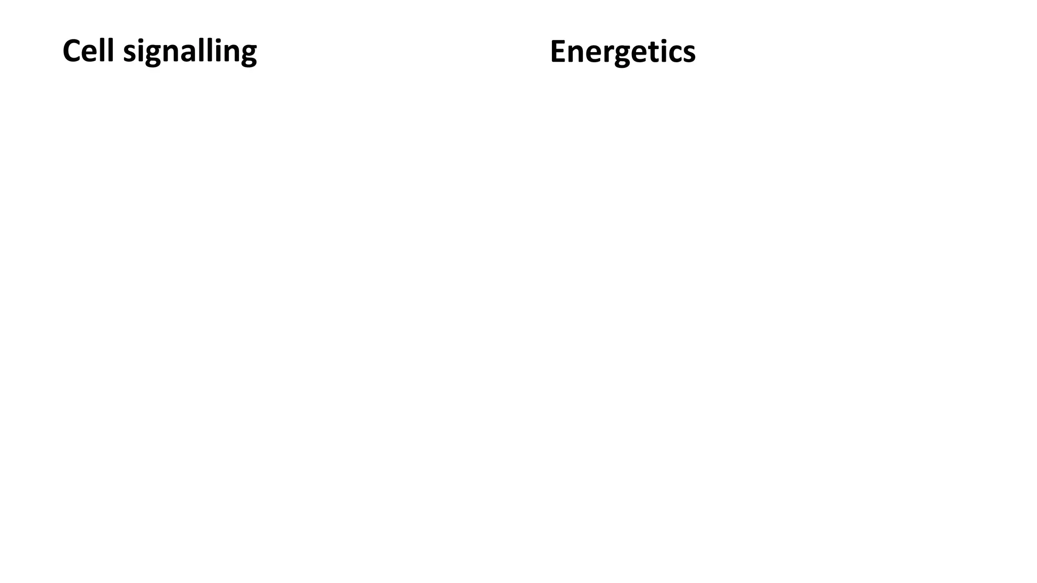 principle and application of surface plasmon resonance technique.pptx