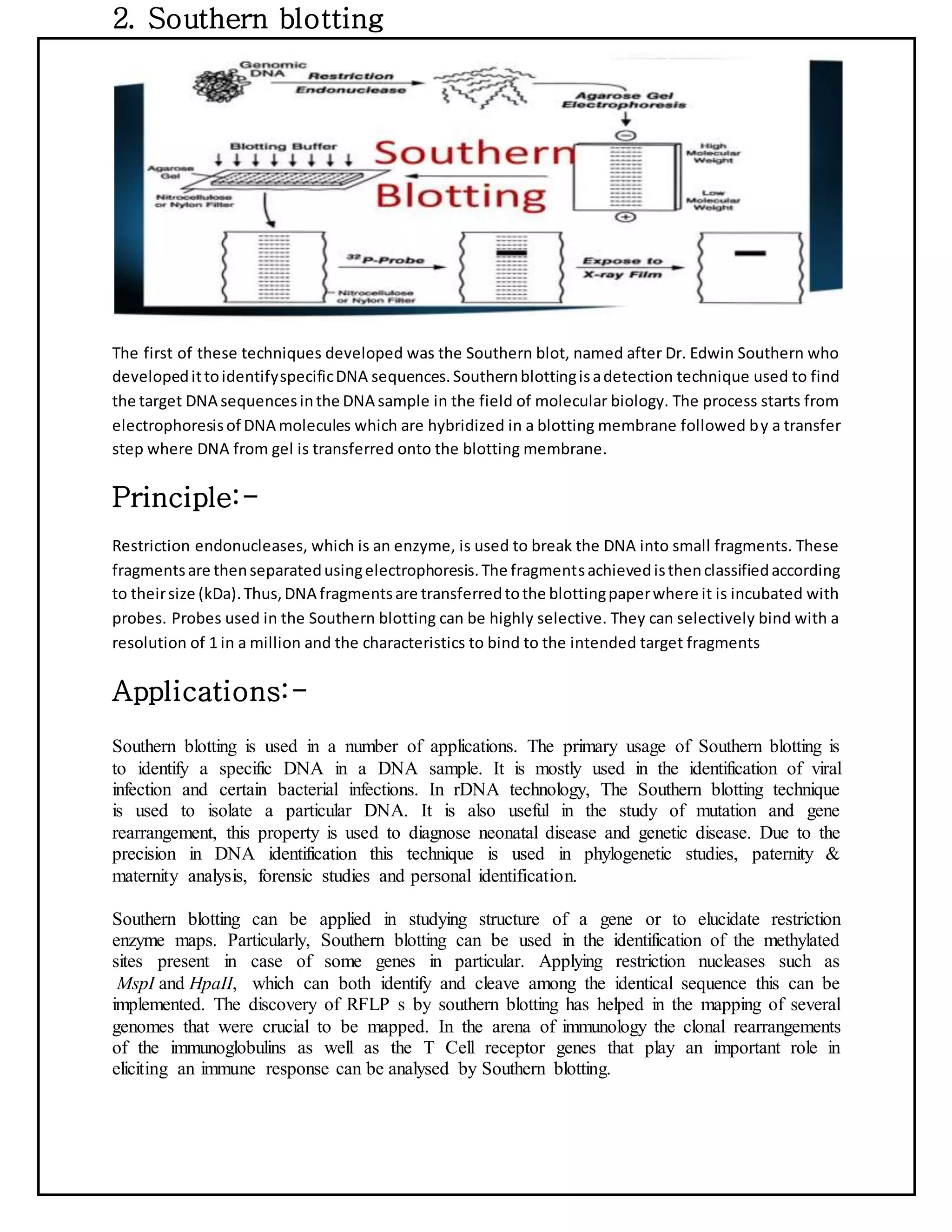 Principle and applications of blotting techniques | DOCX
