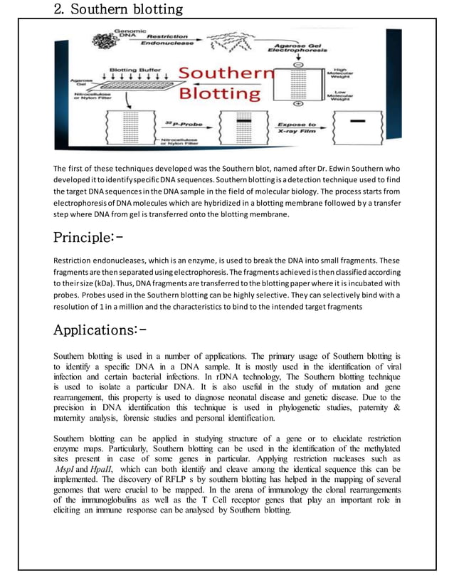 Principle and applications of blotting techniques Principle and applications of blotting techniques