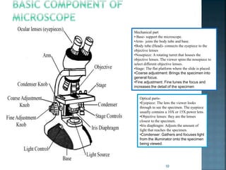 Bright field microscopy, Principle and applications | PPTX | Eye and ...