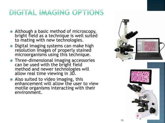 Bright field microscopy, Principle and applications | PPTX | Eye and ...