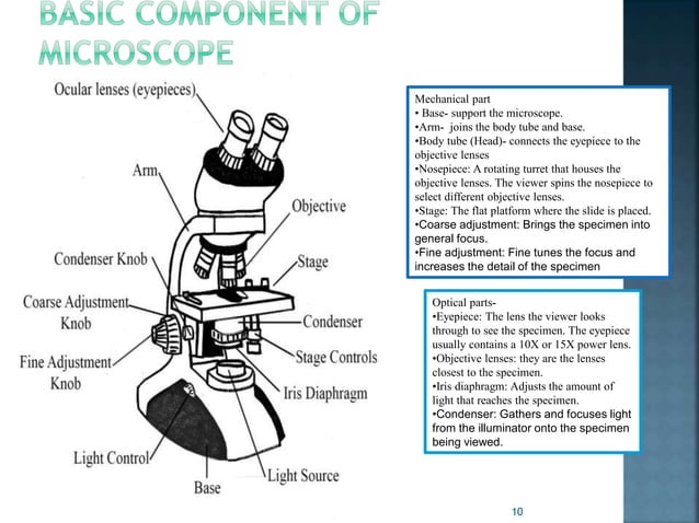 Bright field microscopy, Principle and applications | PPT