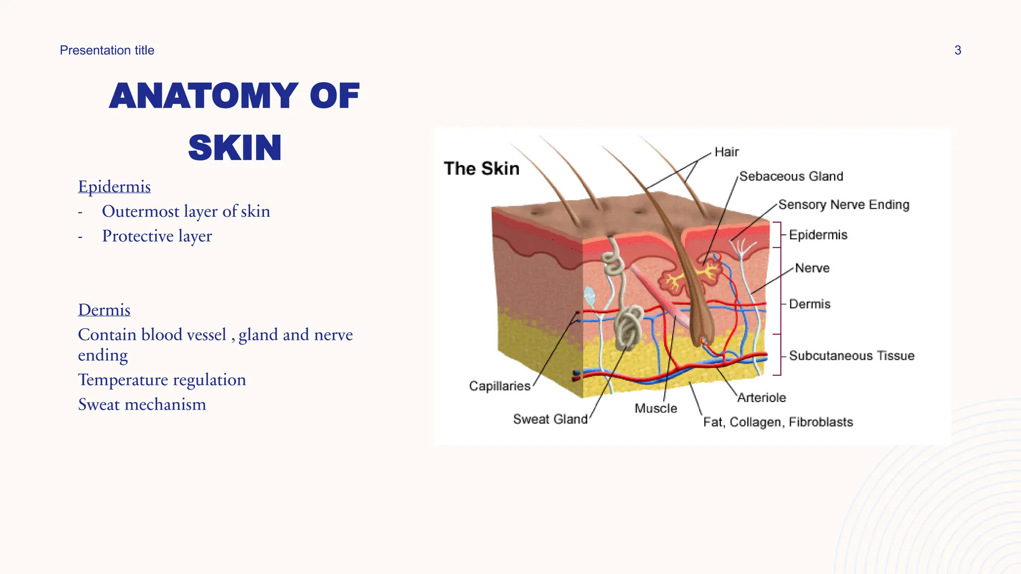 Principle and management of burn injury.pdf