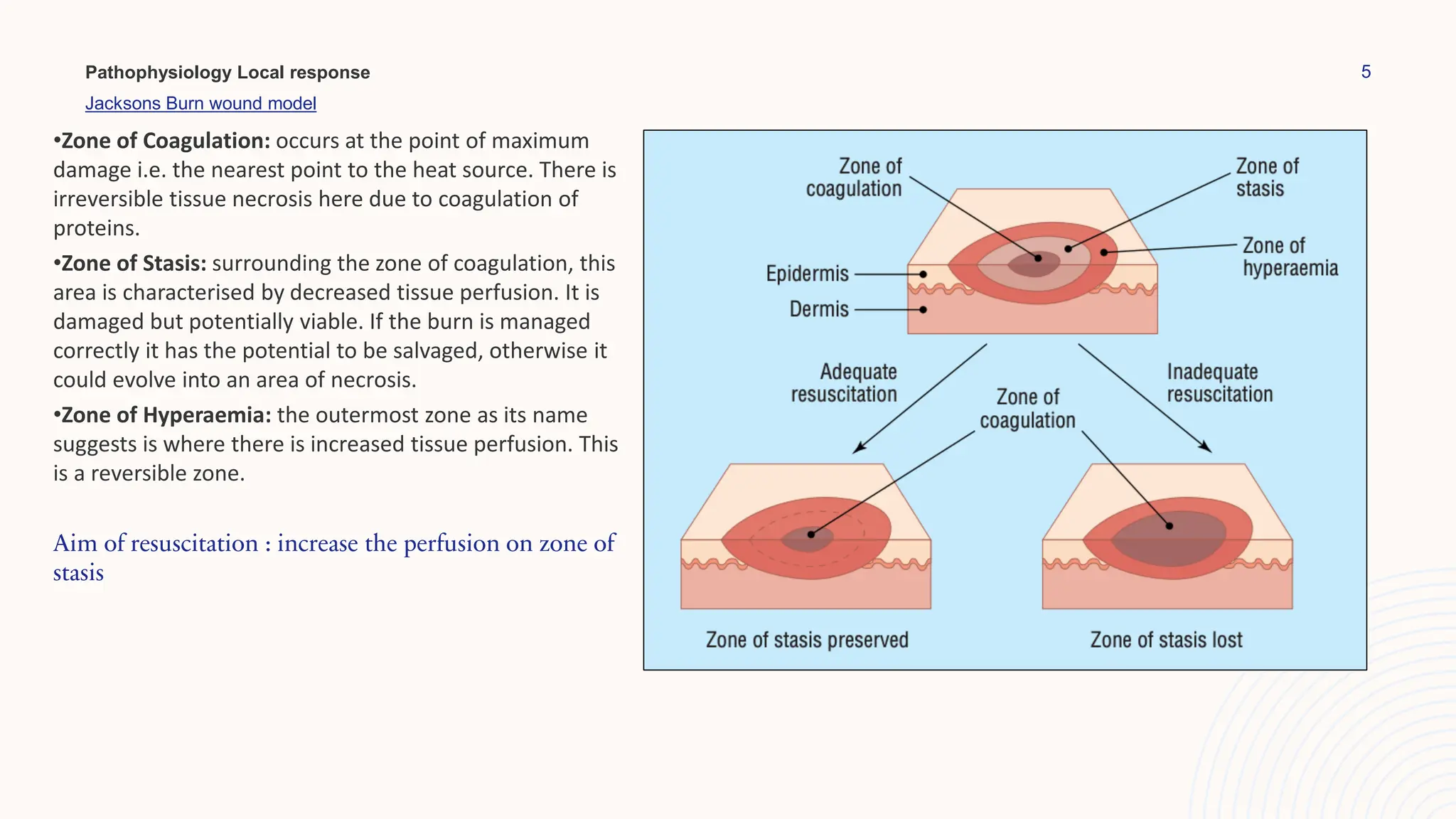 Principle and management of burn injury.pdf