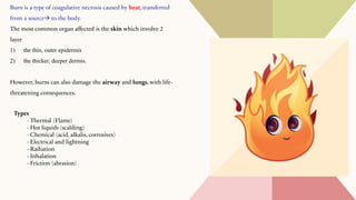 Principle and management of burn injury.pdf